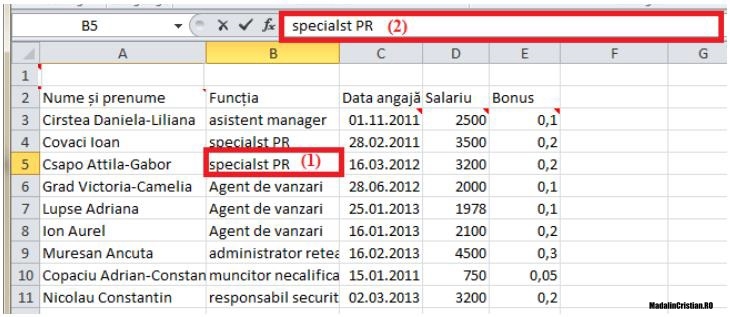 Noțiuni de bază în Microsoft Excel - MadalinCristian.RO