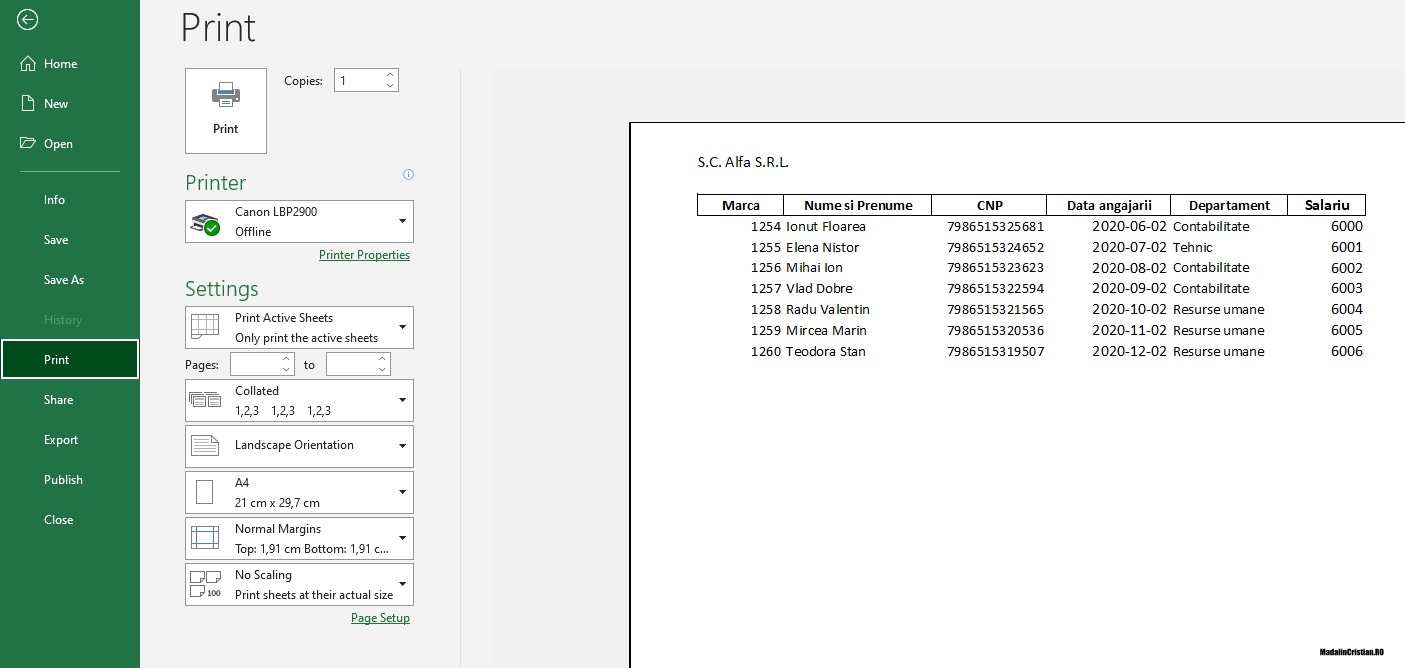 Cum printezi o foaie de calcul în Microsoft Excel? - MadalinCristian.RO